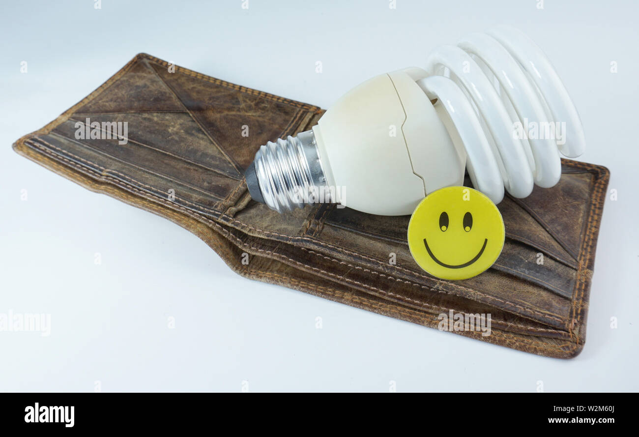 smiley happy face save money education electricity expense finance ...