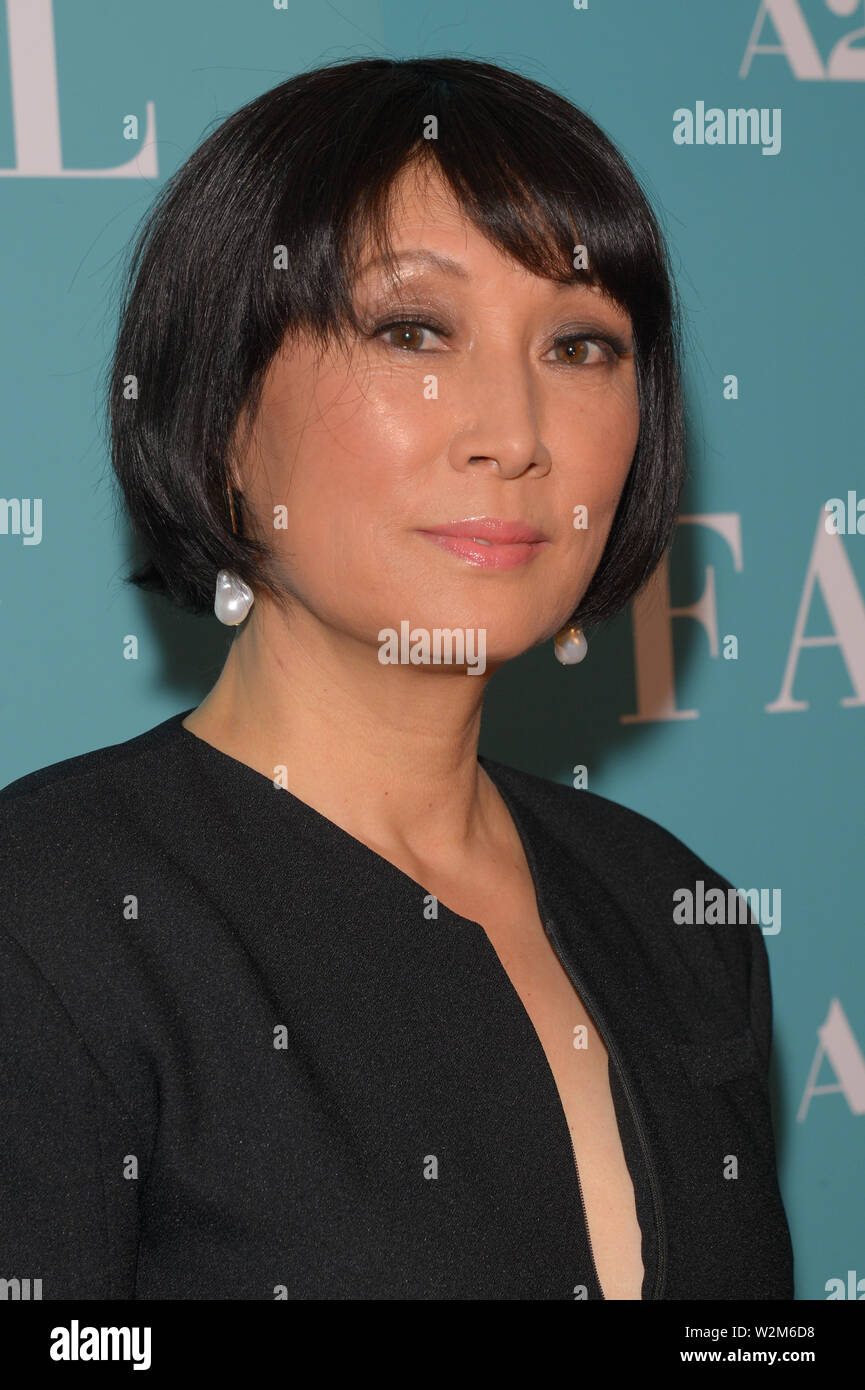 NEW YORK, NY - JULY 08: Diana Lin attends "The Farewell" New York ...