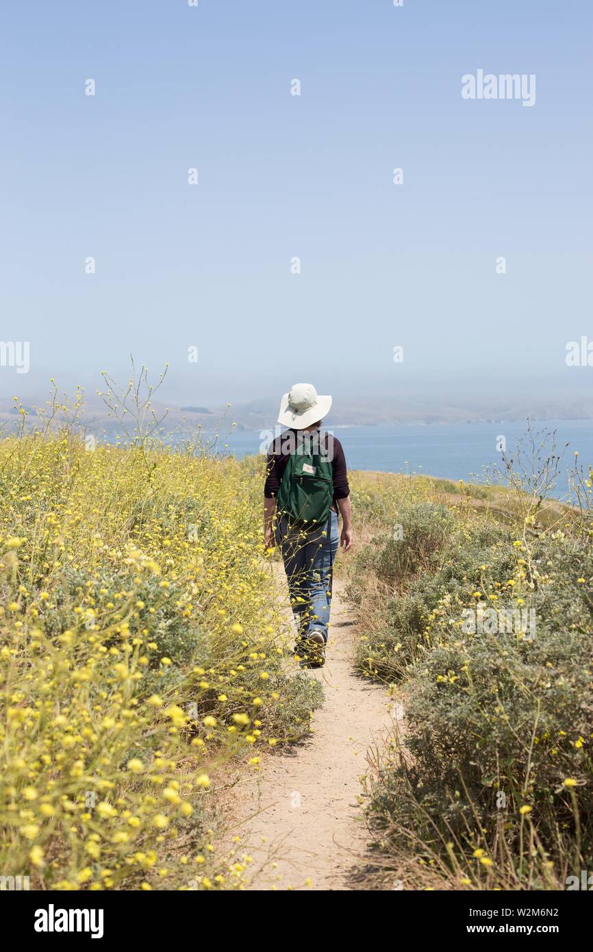 Woman walking through tall grass hi-res stock photography and images ...