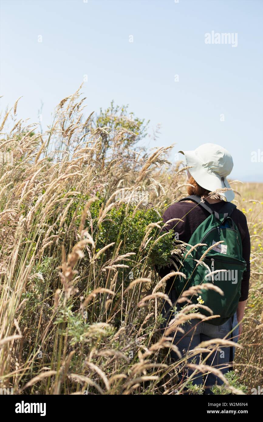 Woman walking through tall grass hi-res stock photography and images ...