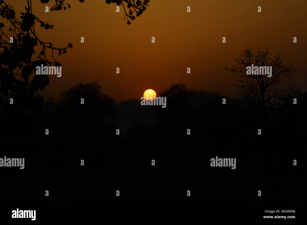 Sun in the early morning hi-res stock photography and images - Alamy