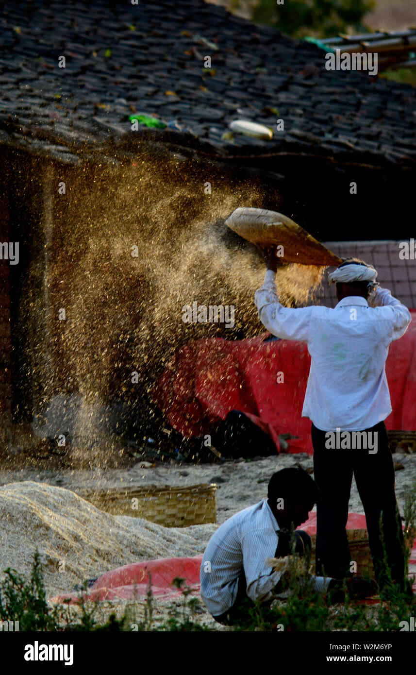 Wind winnowing of grain hi-res stock photography and images - Alamy