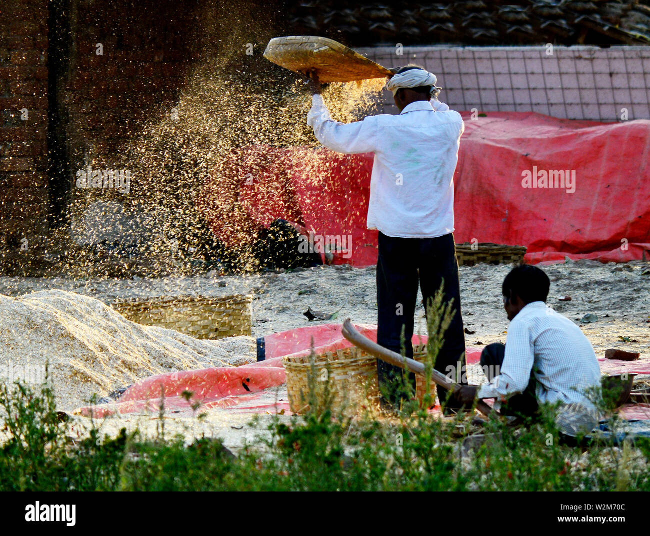 Wind winnowing of grain hi-res stock photography and images - Alamy