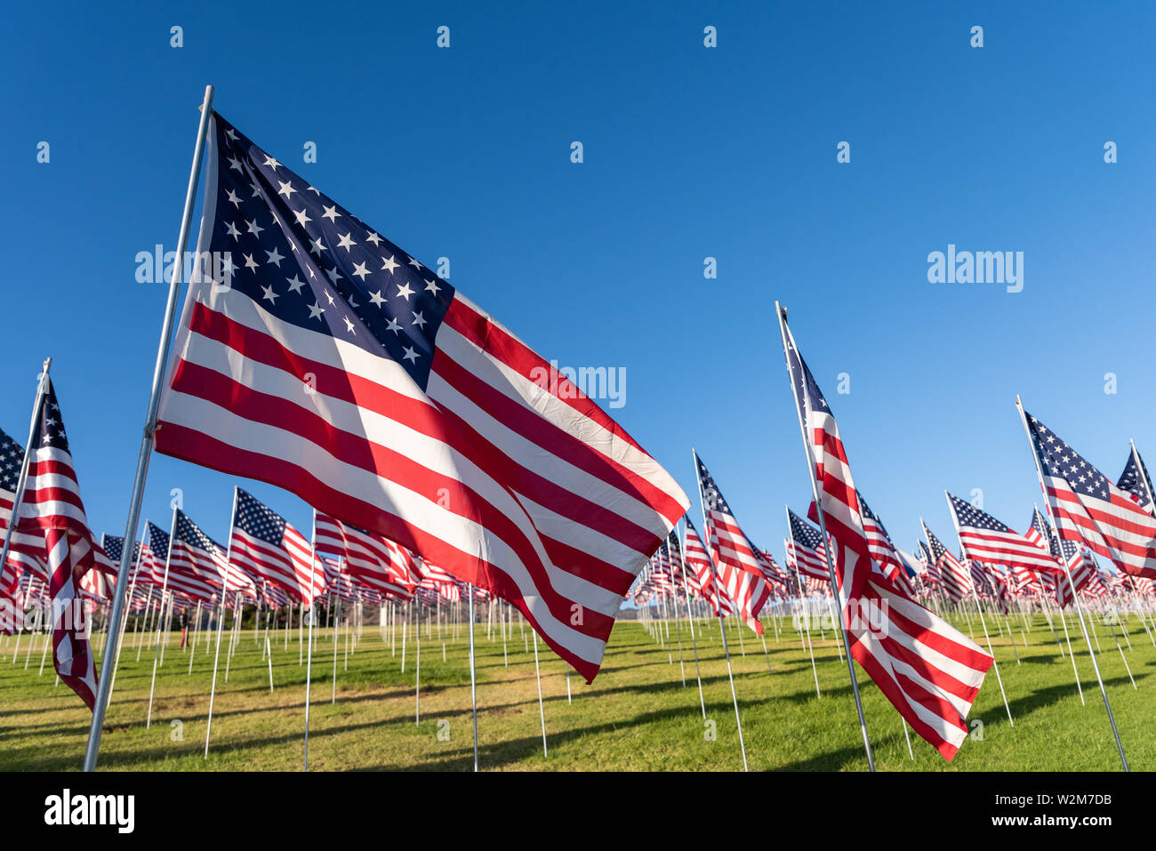 Field american flags hi-res stock photography and images - Alamy