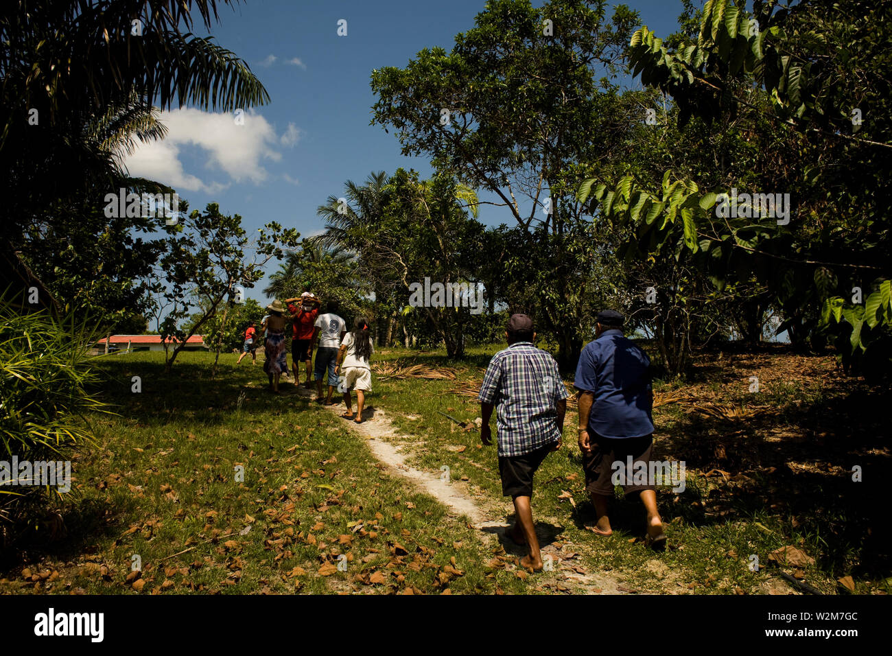 Forest, People, Barreirinha Community, Macaco River, Manaus, Amazônia ...