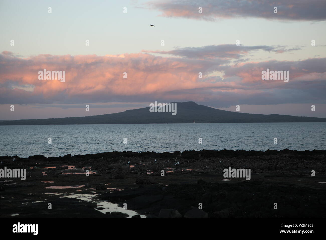 Iconic Rangitoto volcano on Rangitoto Island. Photo taken from tje ...