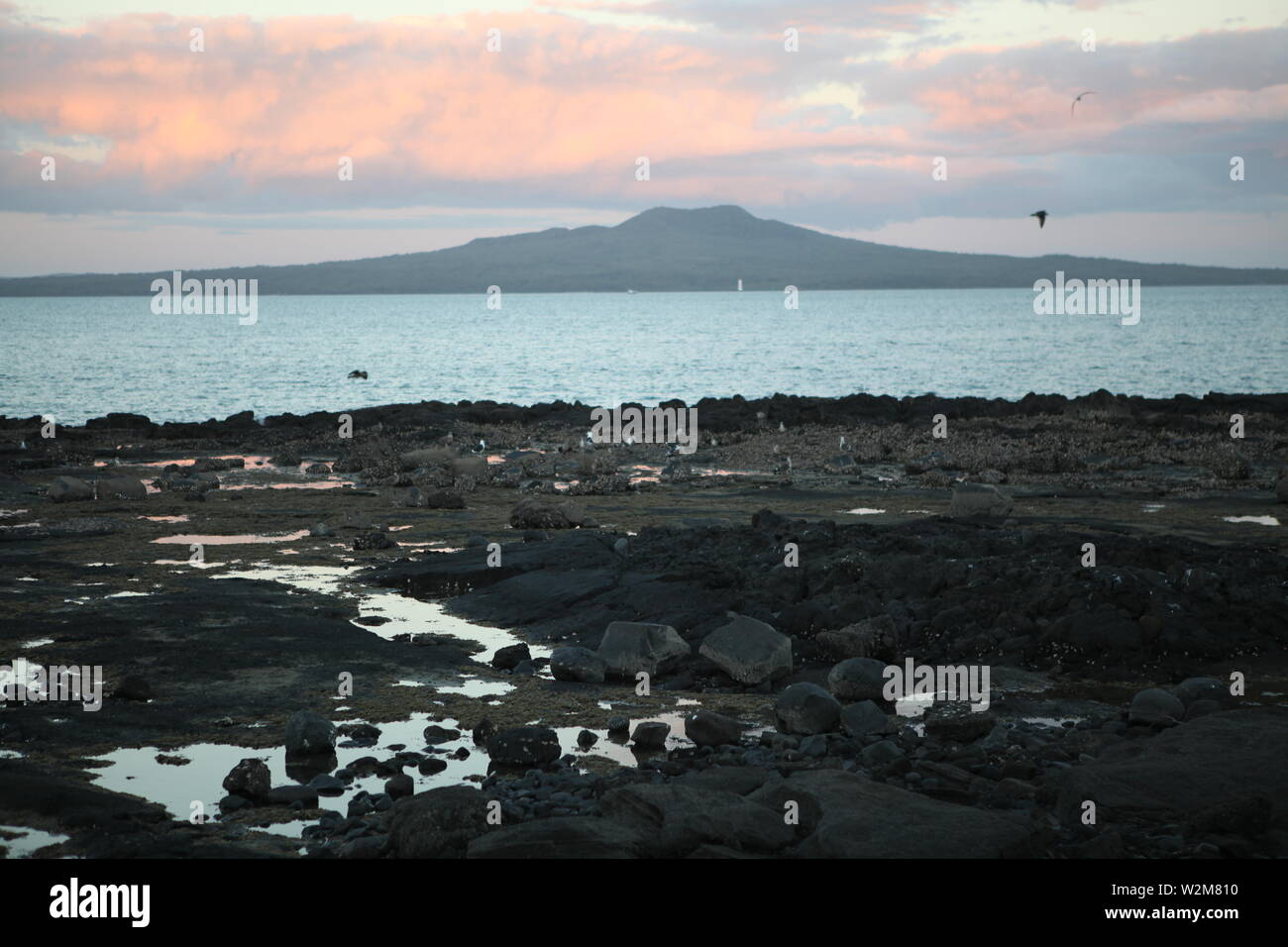 Iconic Rangitoto volcano on Rangitoto Island. Photo taken from tje ...