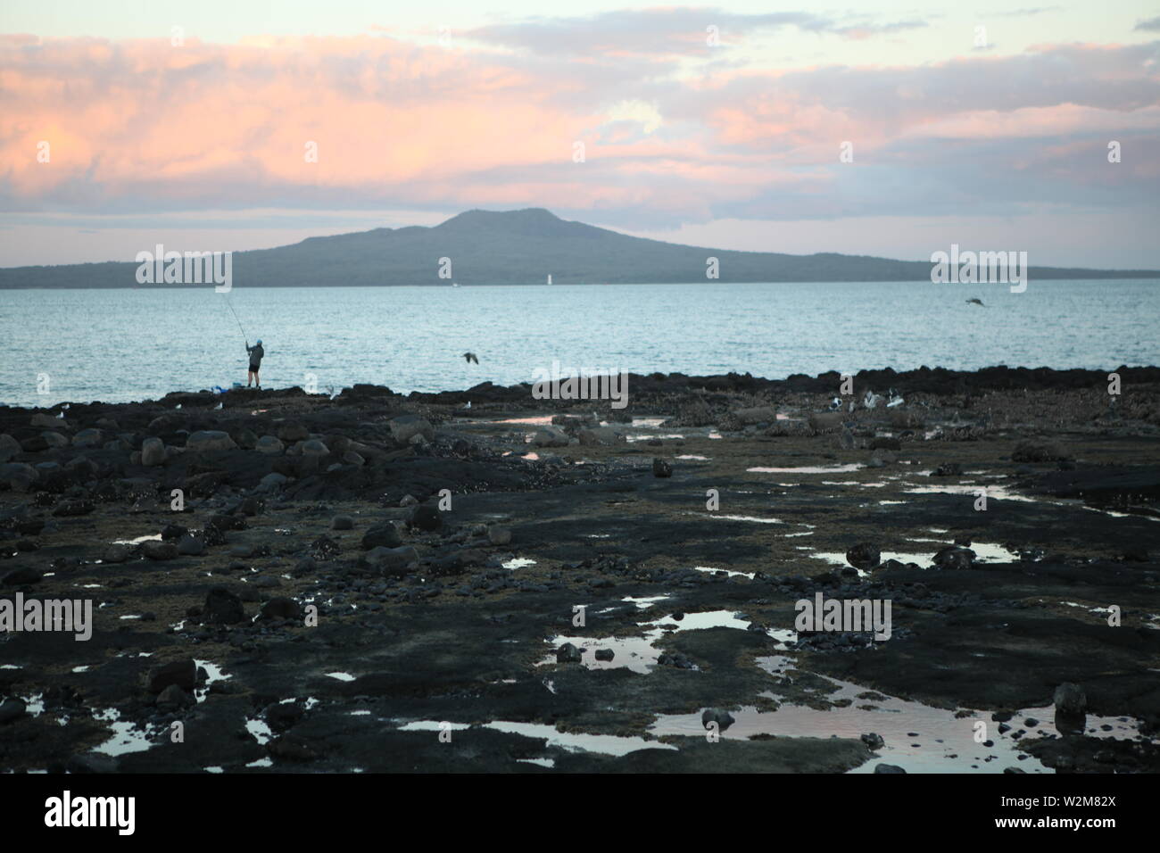 Iconic Rangitoto volcano on Rangitoto Island. Photo taken from tje ...