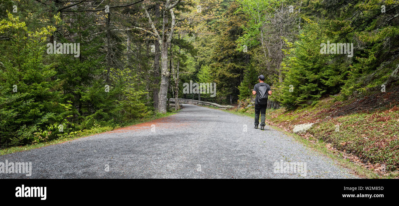 Man walking down path Stock Photo - Alamy