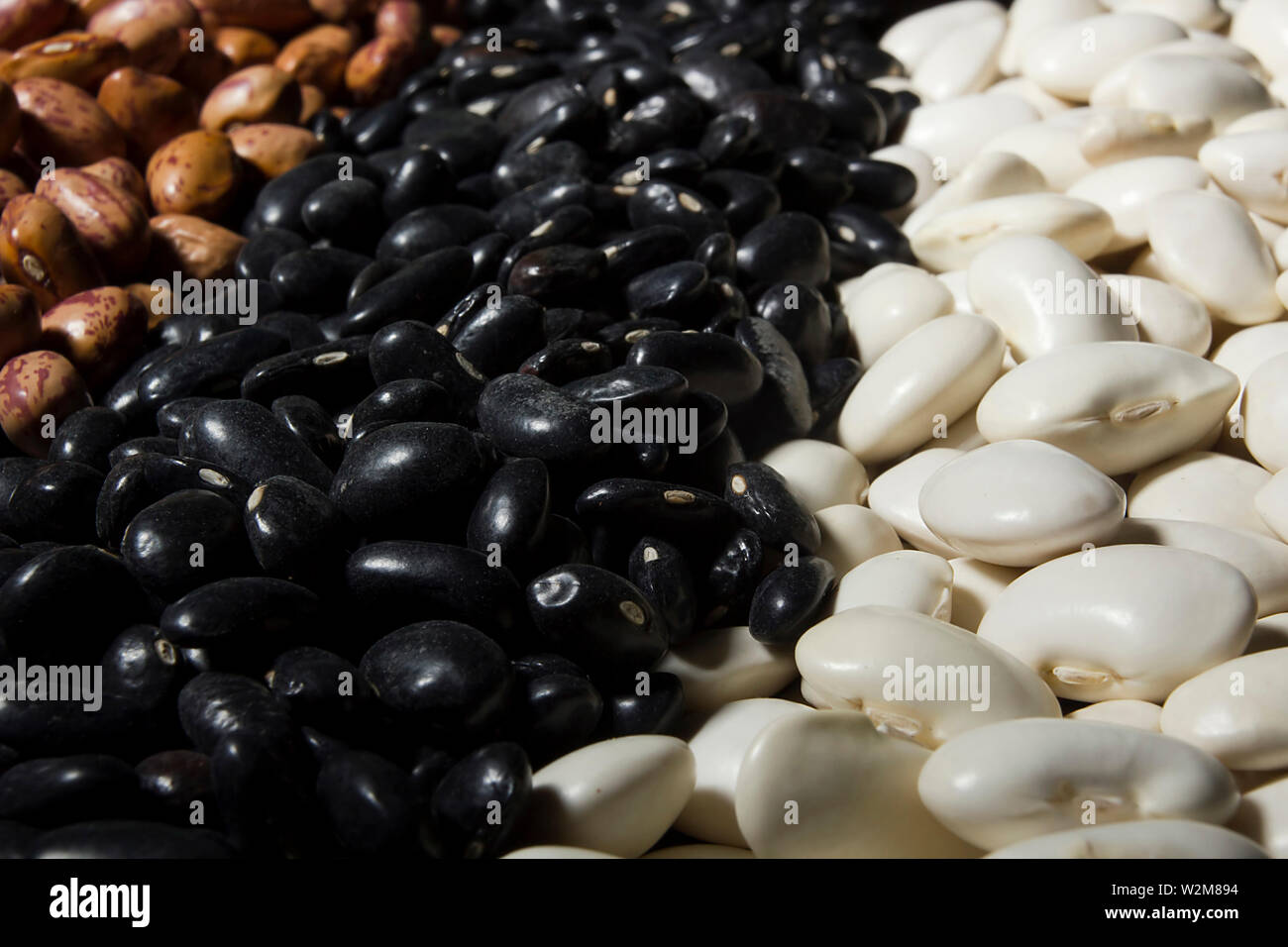 Mix of different in size and color of beans Stock Photo - Alamy