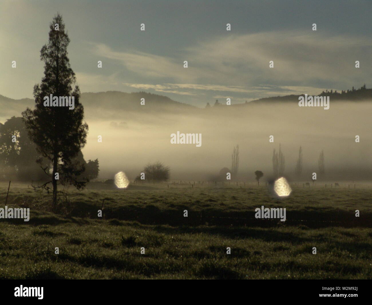 Tuhoe land hi-res stock photography and images - Alamy