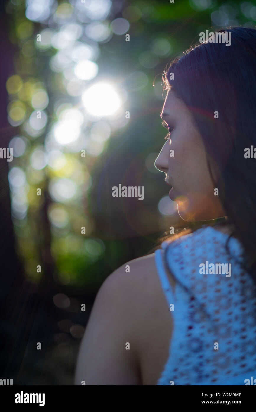 Longing Look into Sunset in Forest Stock Photo - Alamy