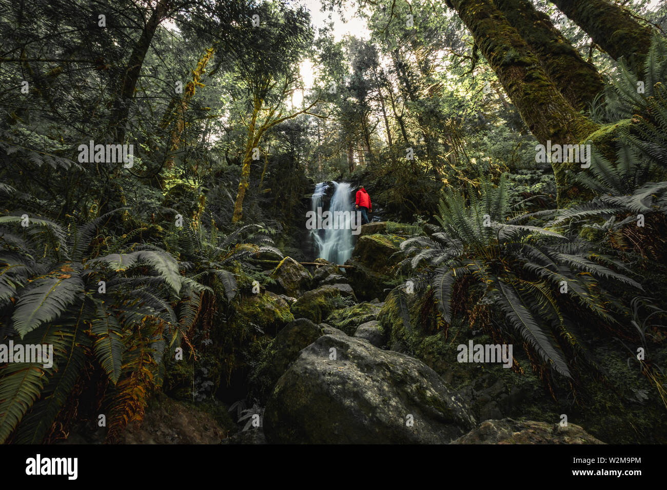 Merriman creek hi-res stock photography and images - Alamy
