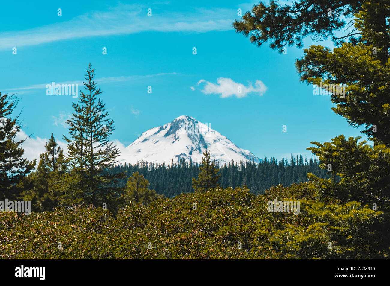 Mount Hood National Forest Stock Photo - Alamy