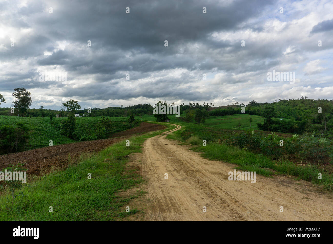 The rural route at the time before the light in the wet rainy season ...
