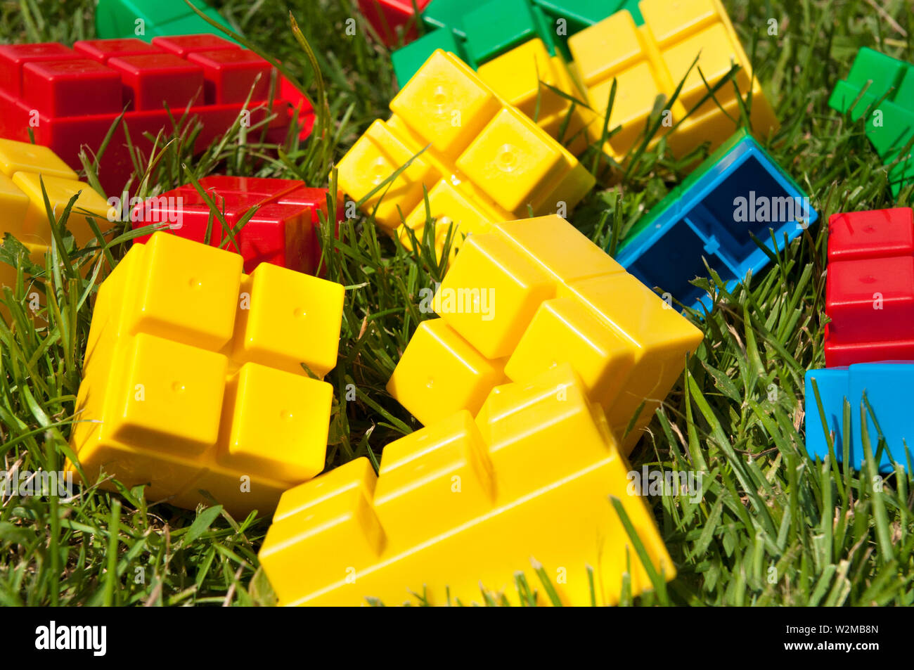 green blue blue and red cubes for kids game on green grass side view ...