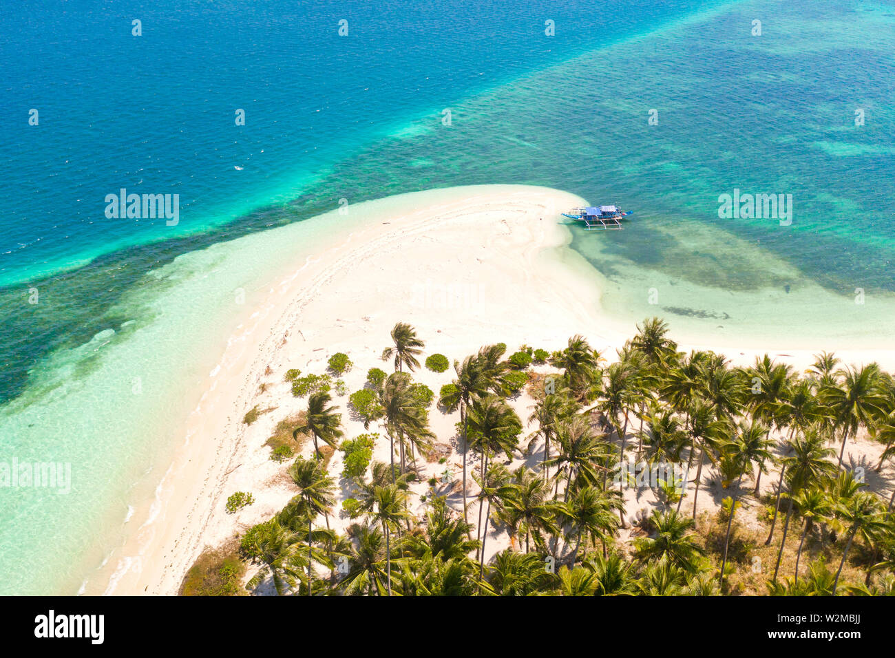 Tropical island of white sand with coconut trees. Boat with tourists on ...