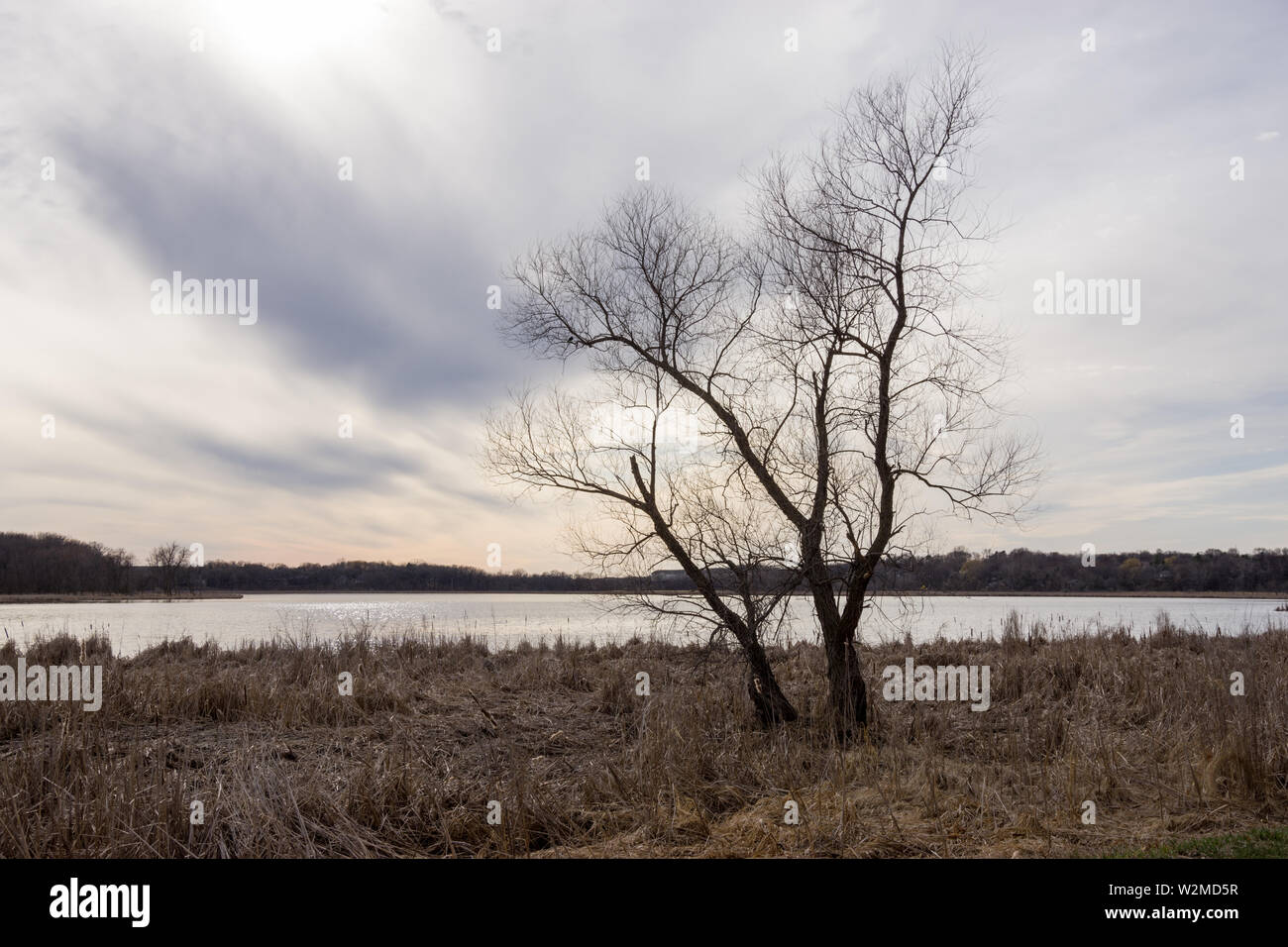 Rice Marsh Lake, Minnesota Stock Photo - Alamy