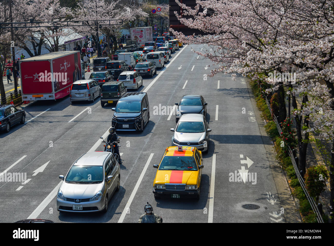 Tokyo, Japan - Apr 7, 2019. Cherry trees with flowers on street in ...