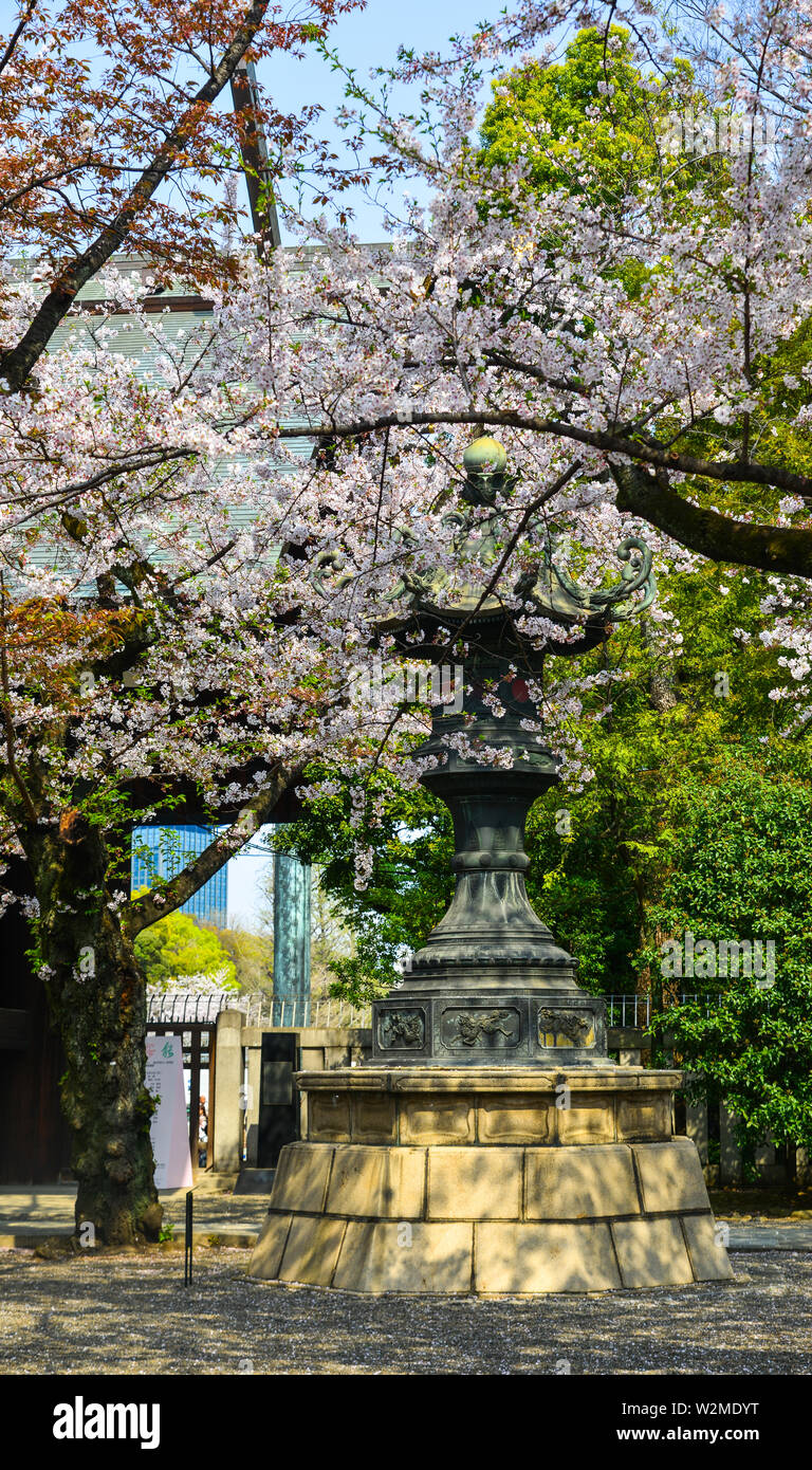 Tokyo, Japan - Apr 7, 2019. Cherry blossom (hanami) in Kyoto, Japan ...