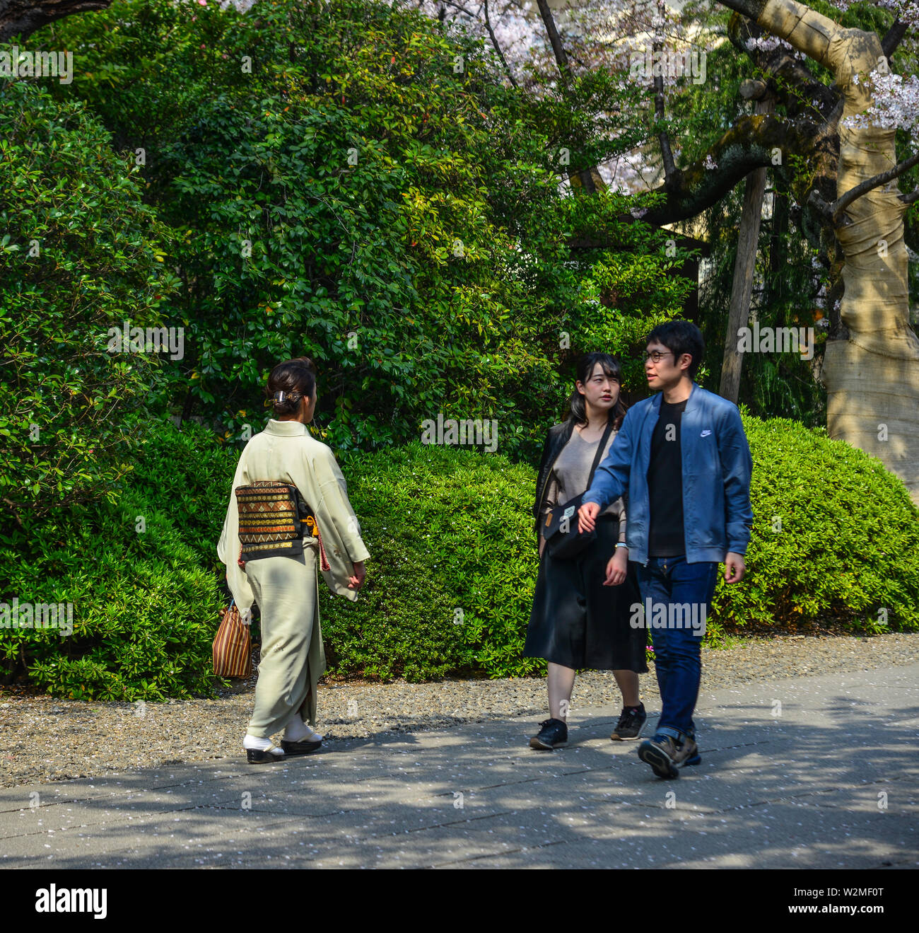 Tokyo, Japan - Apr 7, 2019. People walking at the park in Tokyo, Japan ...