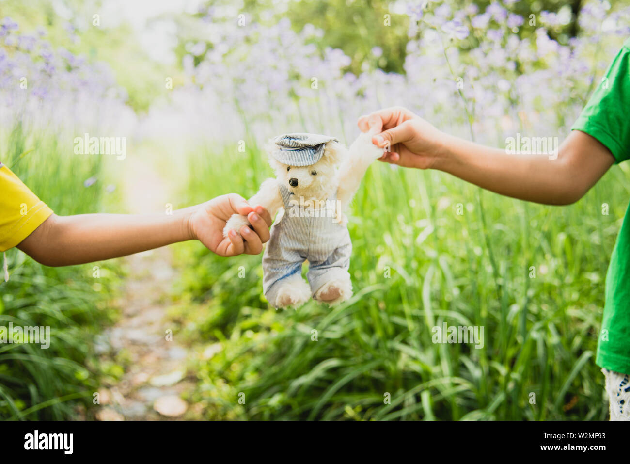Teddy bear autumn hi-res stock photography and images - Alamy