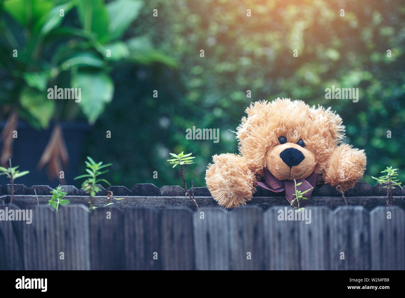 Adorable Fluffy Teddy Bear in the park. Vintage Style Stock Photo - Alamy