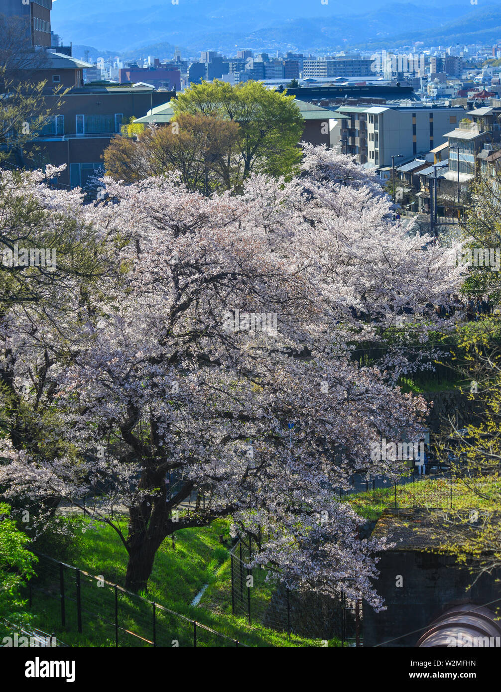 Historic urban street scene in kyoto hi-res stock photography and ...
