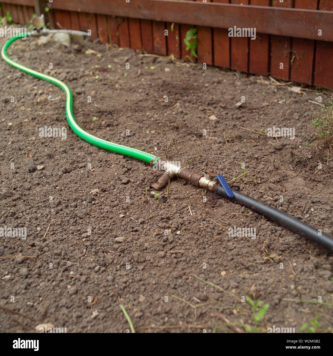 water hose laid on the ground for watering, outdoor square shot Stock ...