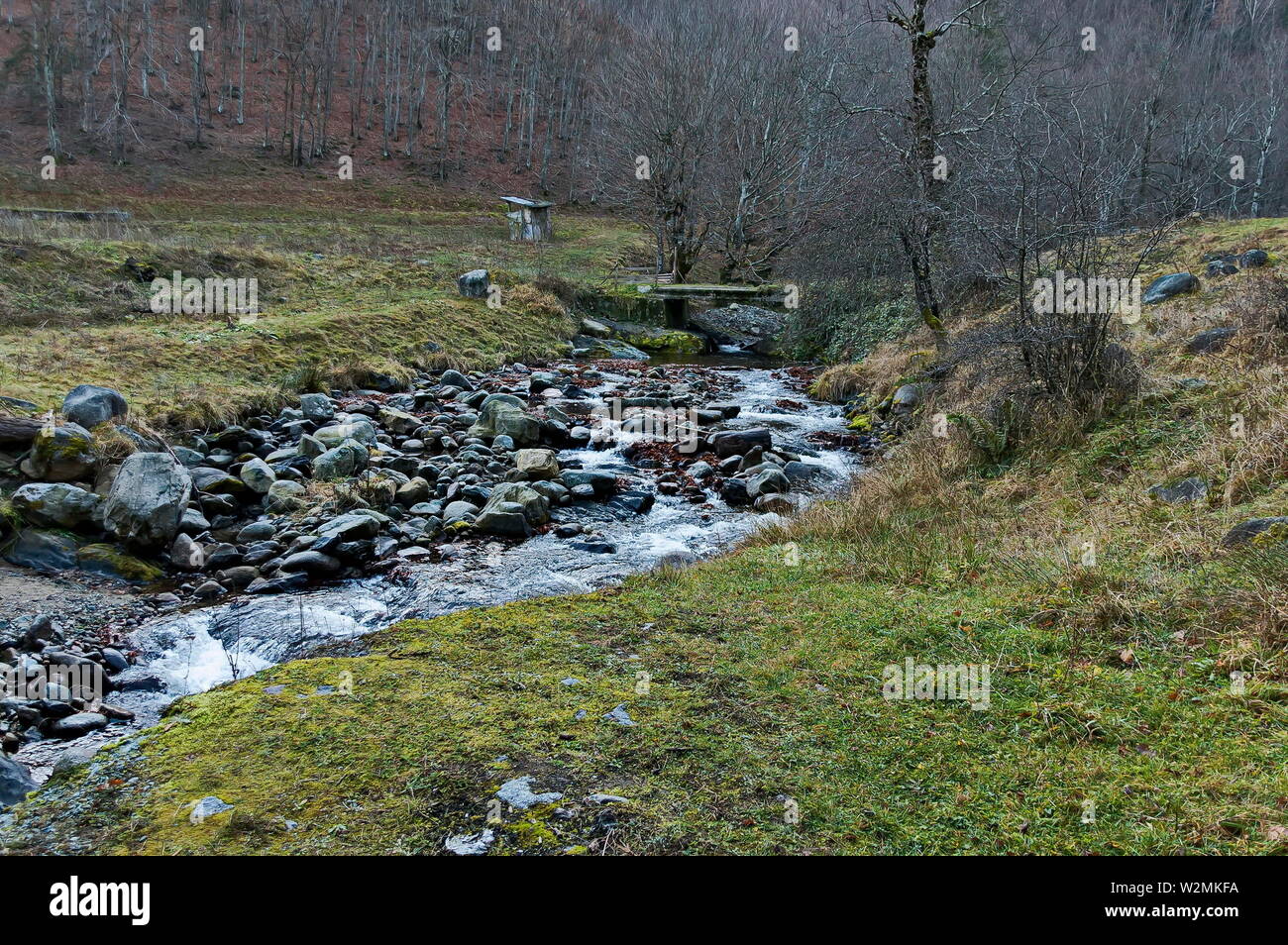 Magnificent landscape with mountain river Vit flowing in the autumn ...