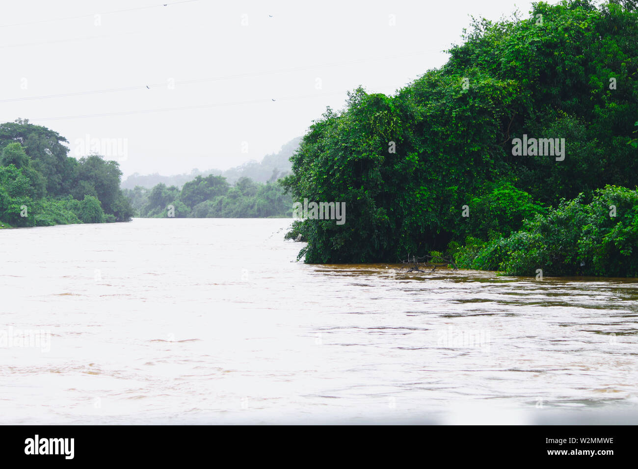 Indian river overflow due to heavy rainfall in monsoon season Stock ...