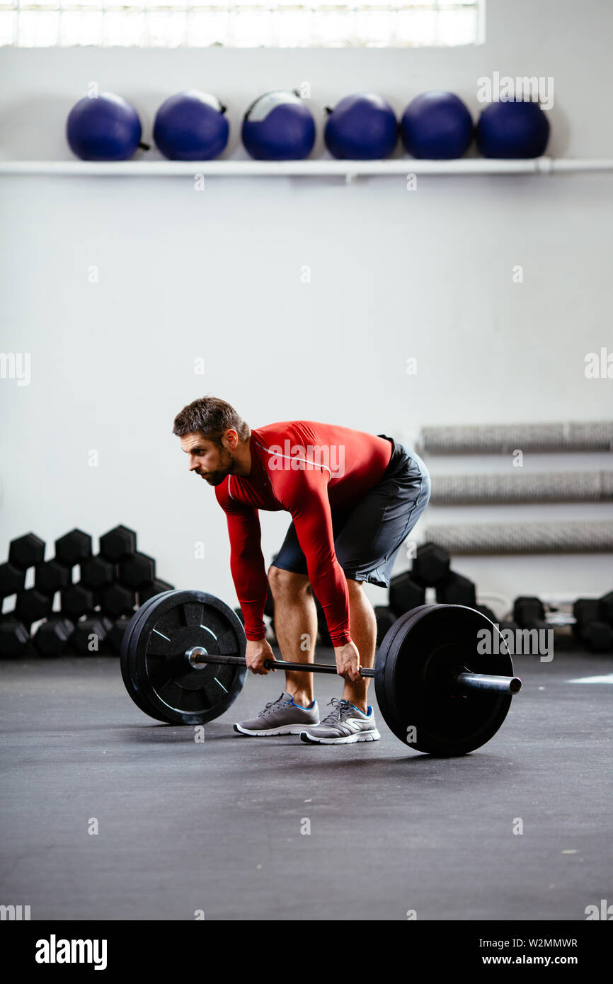 Portrait of muscular man working out in the gym lifting weights Stock ...