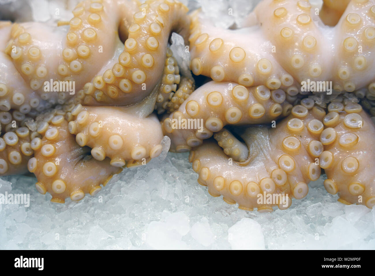 Fresh octopus on ice at a fish market in Sydney, Australia Stock Photo ...