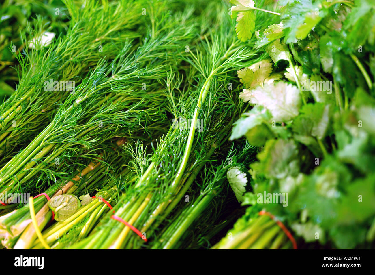 Fresh dill herb hi-res stock photography and images - Alamy