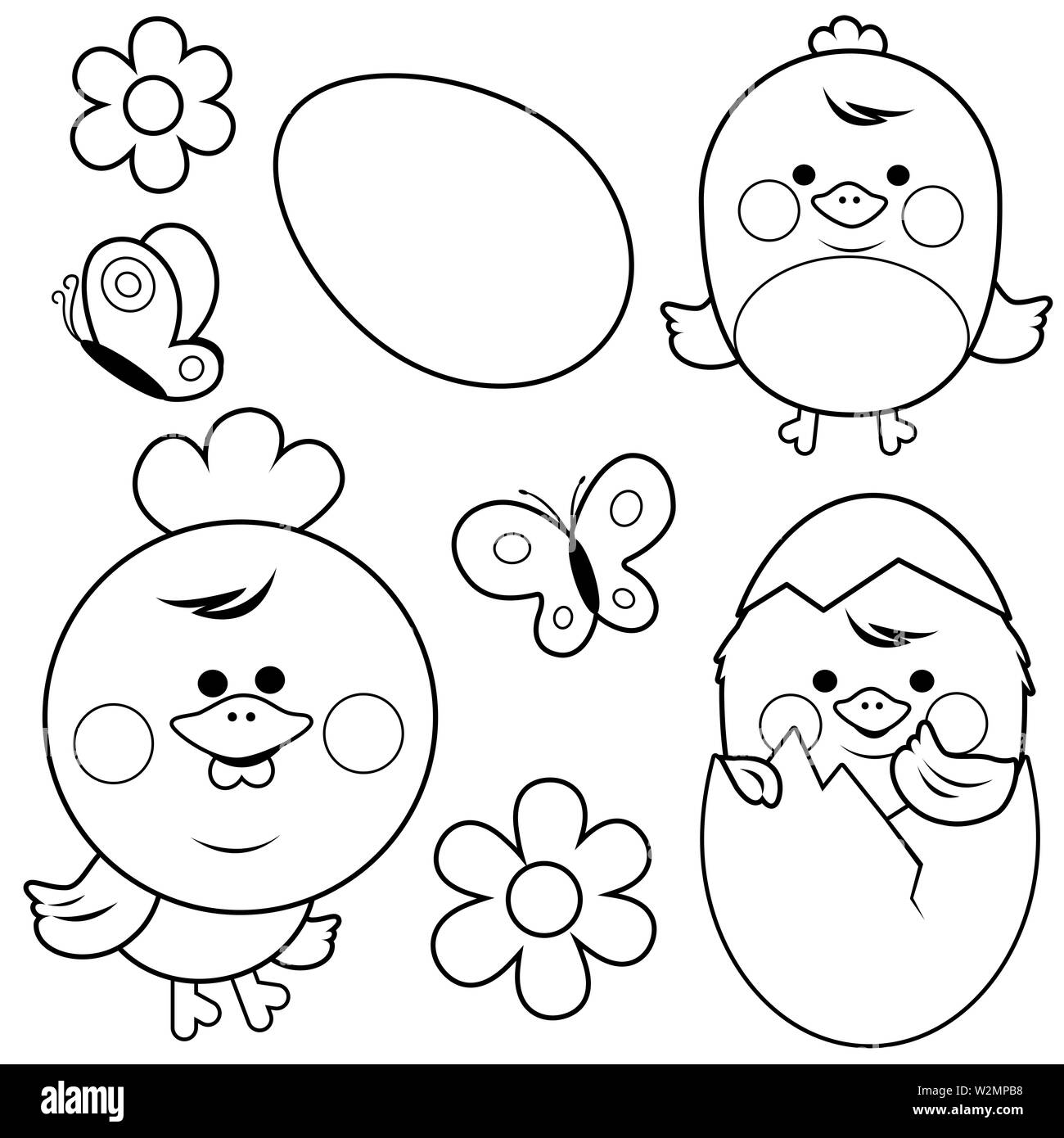 Cute little chicks and eggs. Hatching chicks from eggs, poultry farm ...