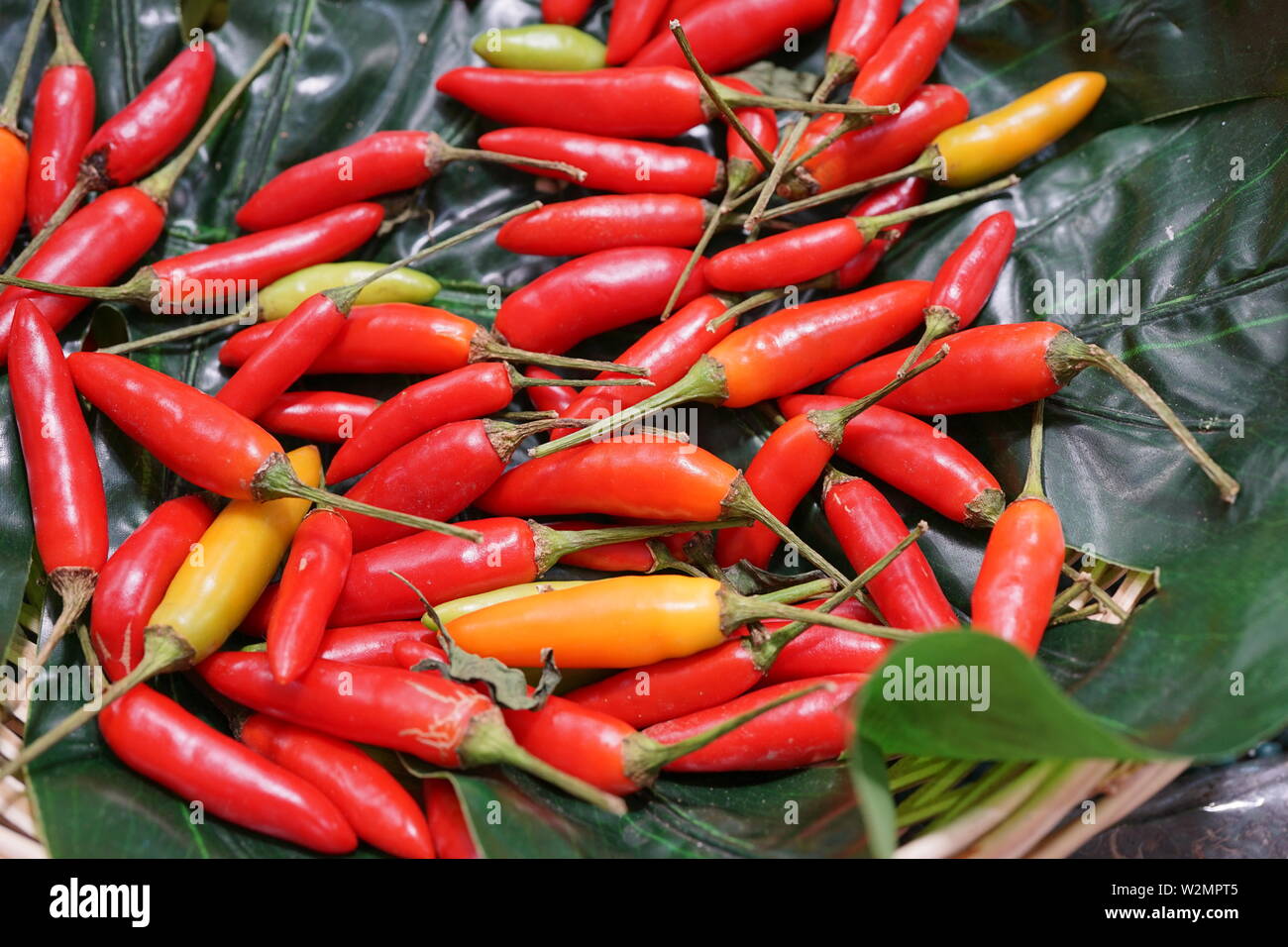 Red hot chili peppers Stock Photo - Alamy