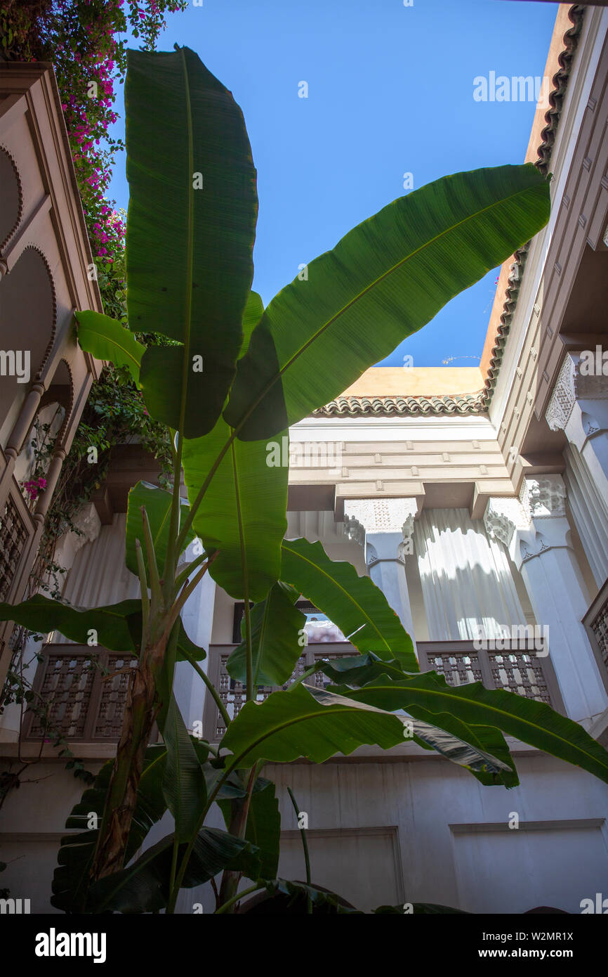 Akal hi-res stock photography and images - Alamy