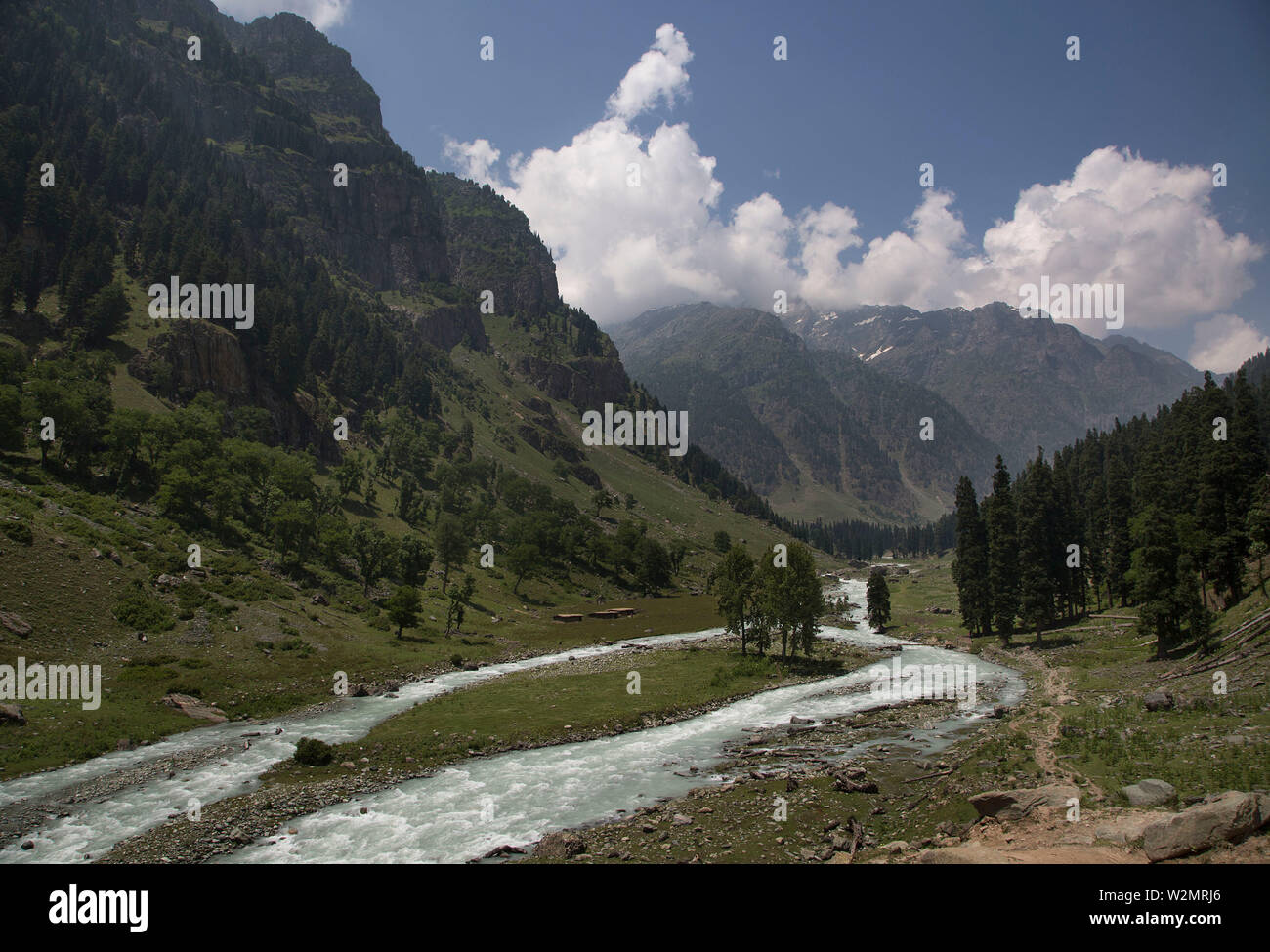 Srinagar. 8th July, 2019. Photo taken on July 8, 2019 shows the scenery ...