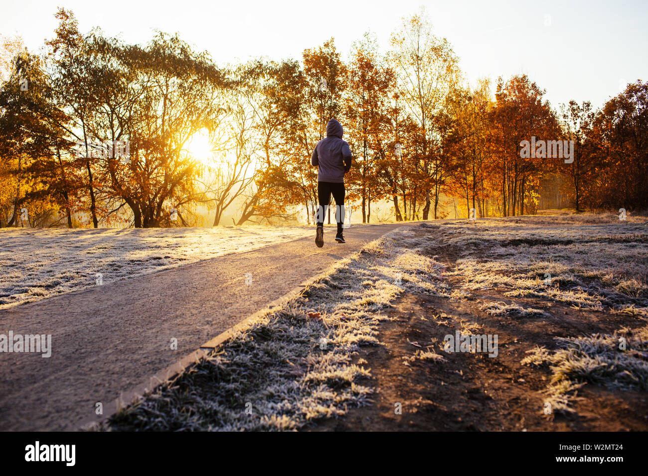 Man jogging in the park on sunny autumn morning Stock Photo - Alamy