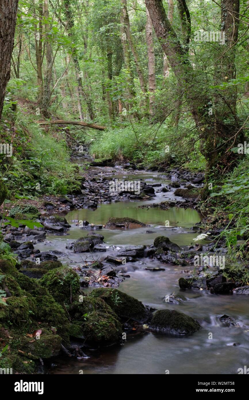 River churnet hi-res stock photography and images - Alamy