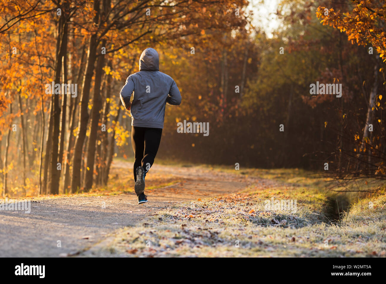 Weather sunny day morning hi-res stock photography and images - Alamy