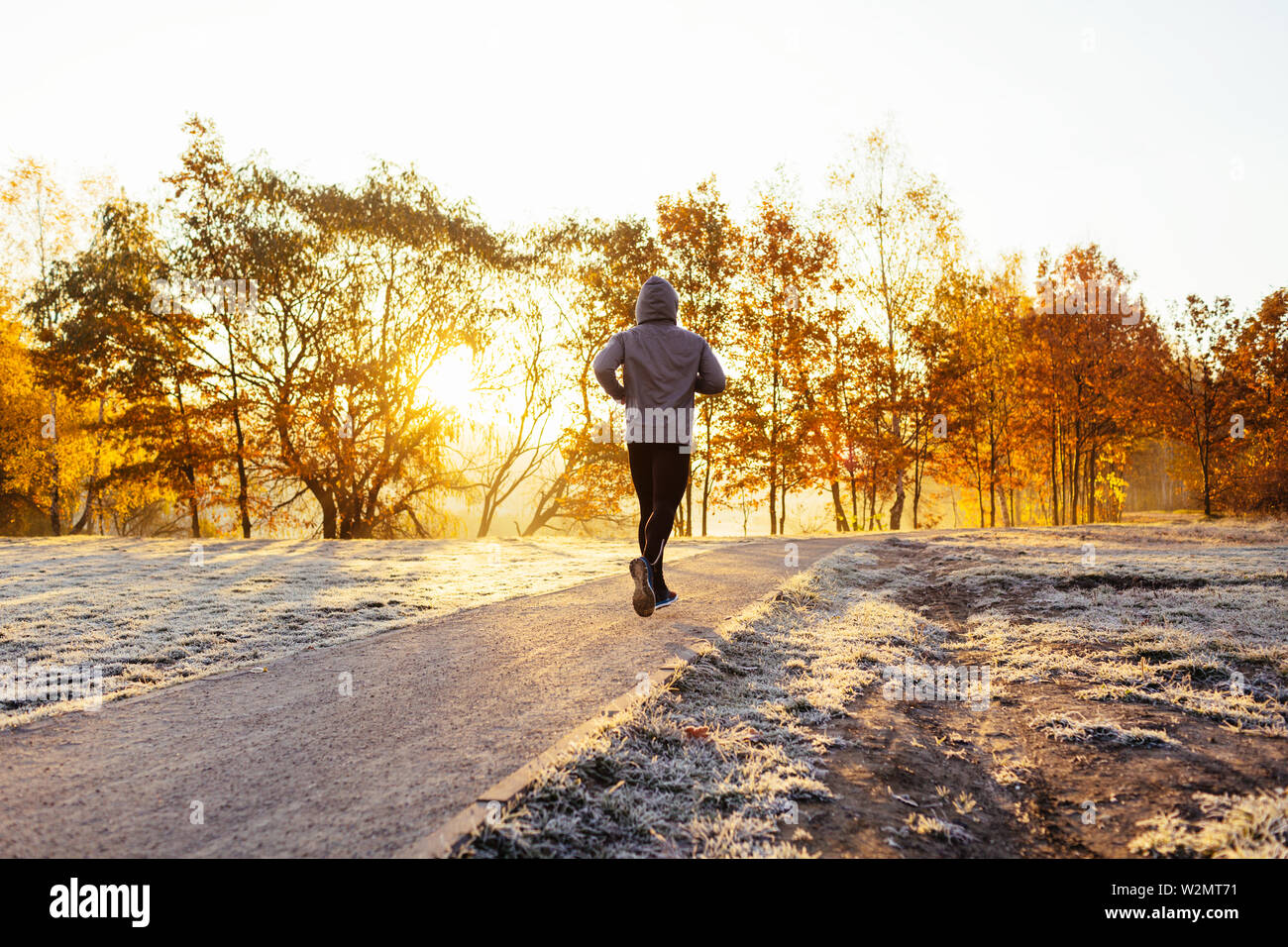 Jogger on sunny autumn hi-res stock photography and images - Alamy