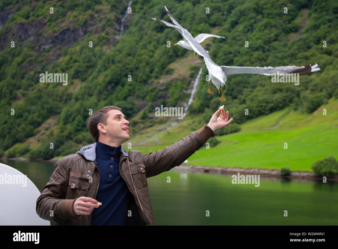 Man feeding seagulls hi-res stock photography and images - Alamy