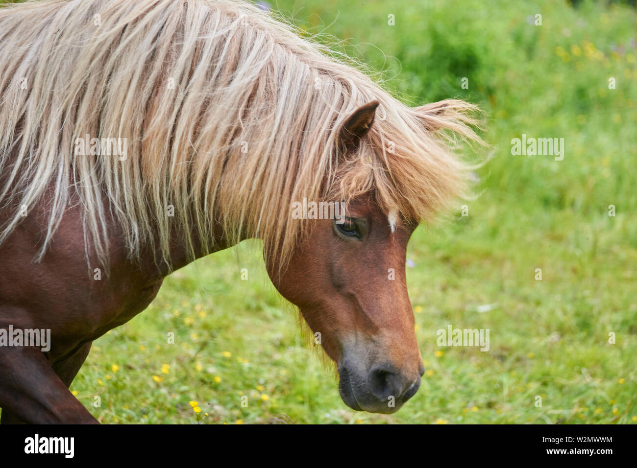 Signaldalen hi-res stock photography and images - Alamy