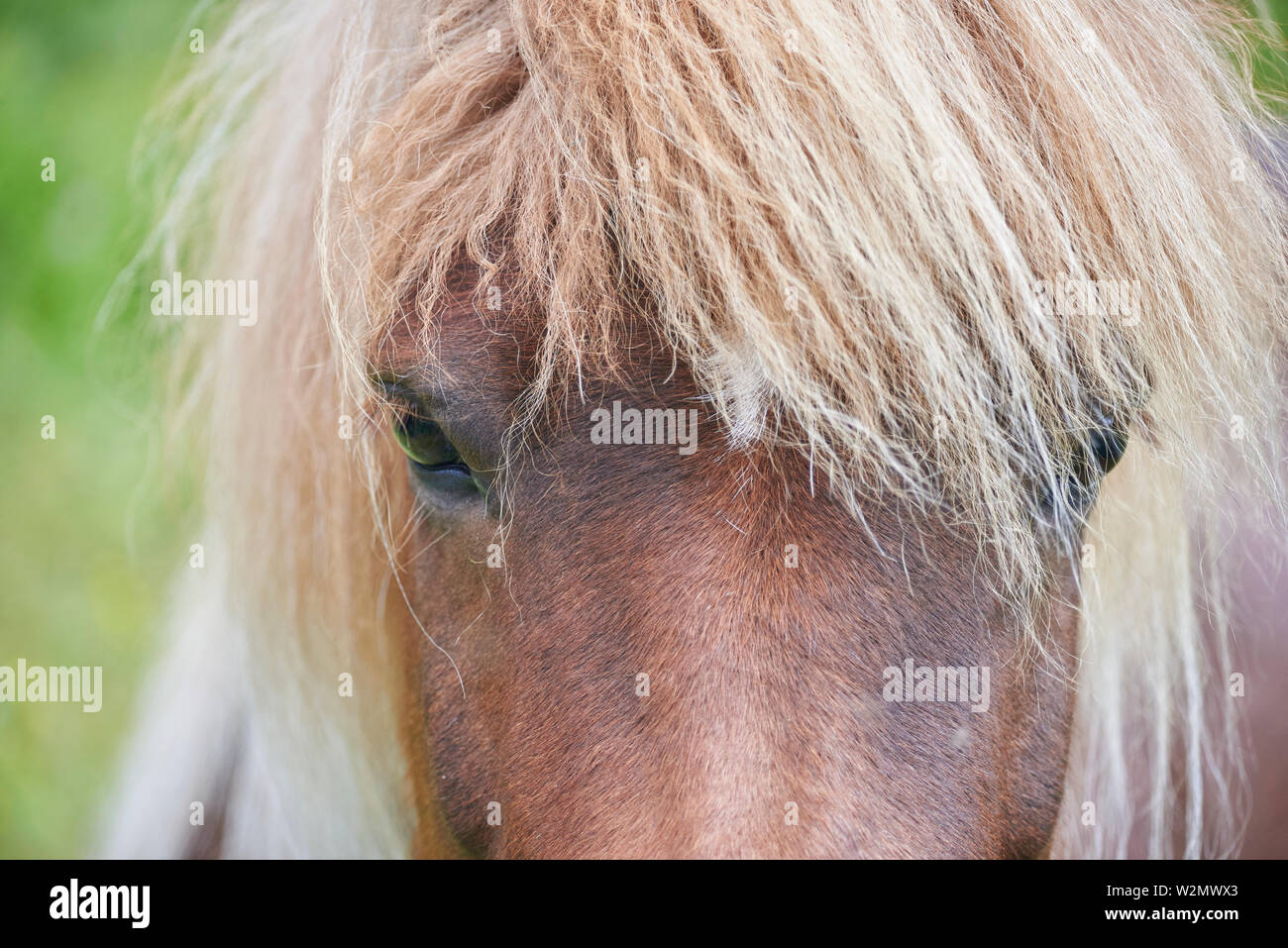 Signaldalen hi-res stock photography and images - Alamy