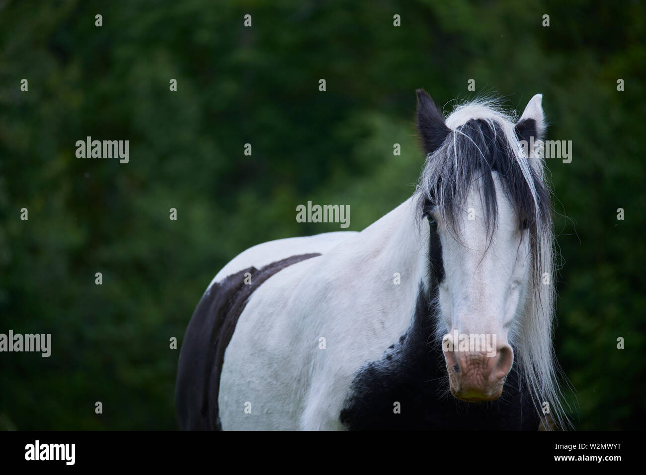 Signaldalen hi-res stock photography and images - Alamy