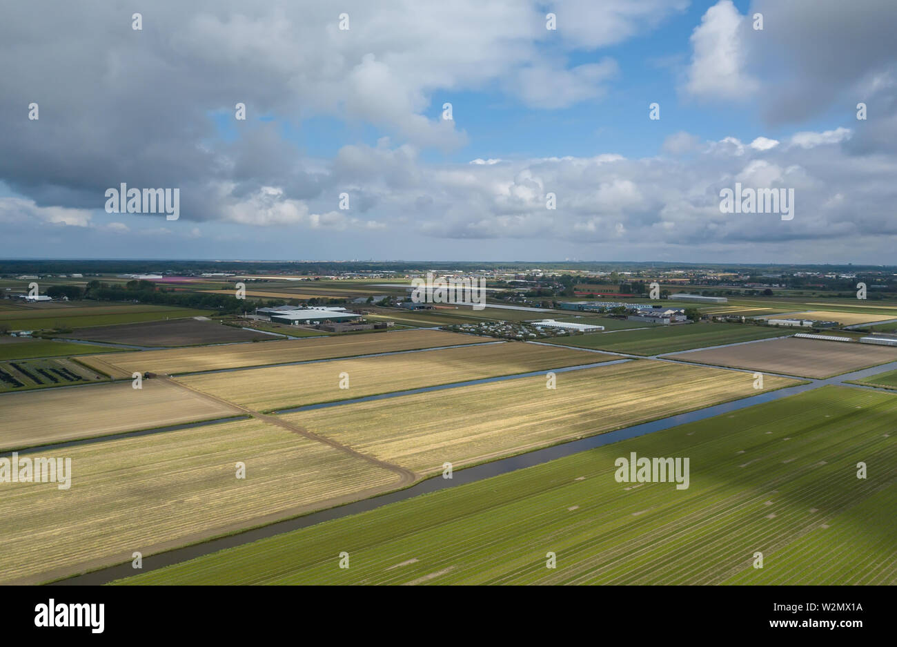 Green rural fields on farm outside Amsterdam city in Netherlands ...