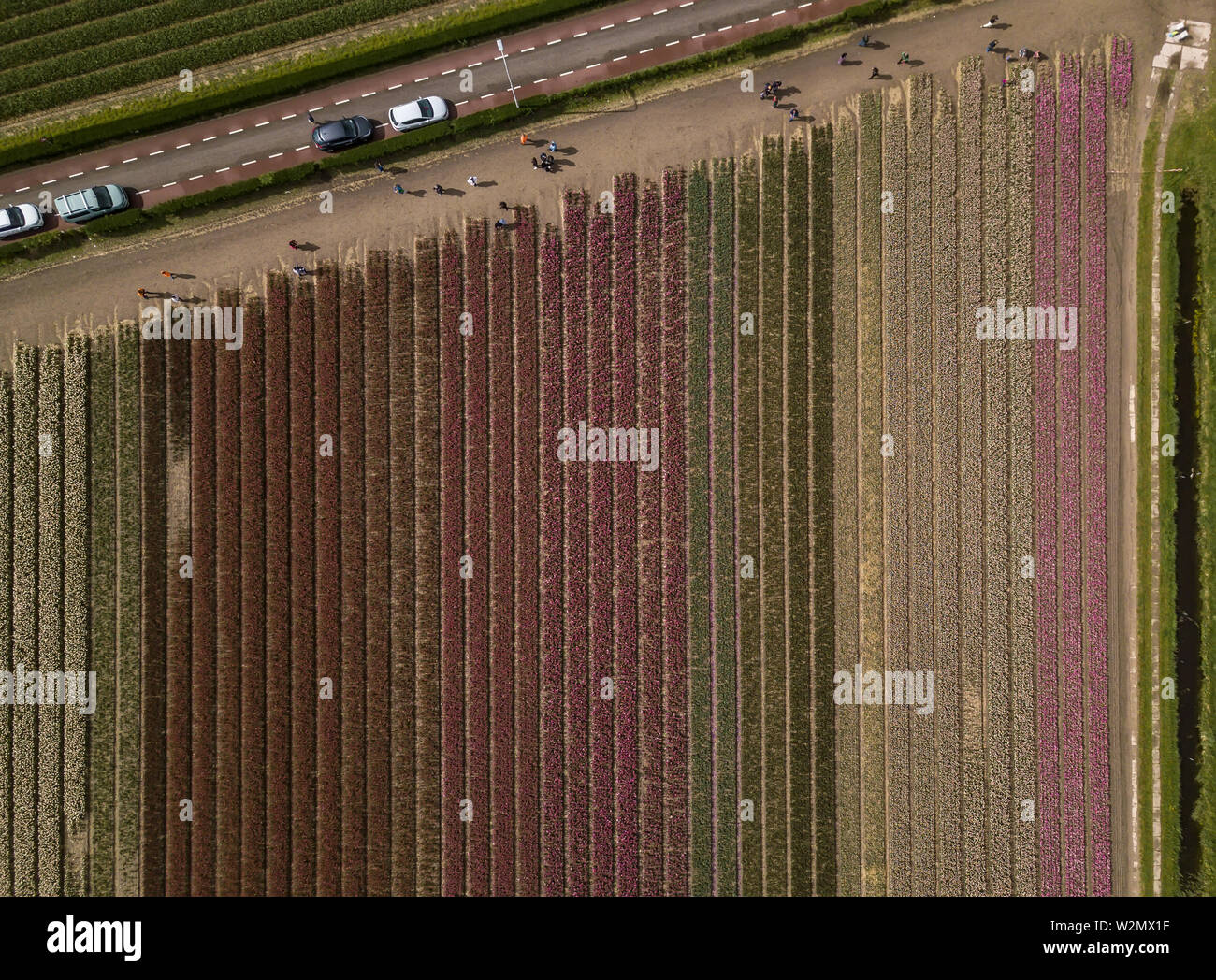 Keukenhof aerial hi-res stock photography and images - Alamy
