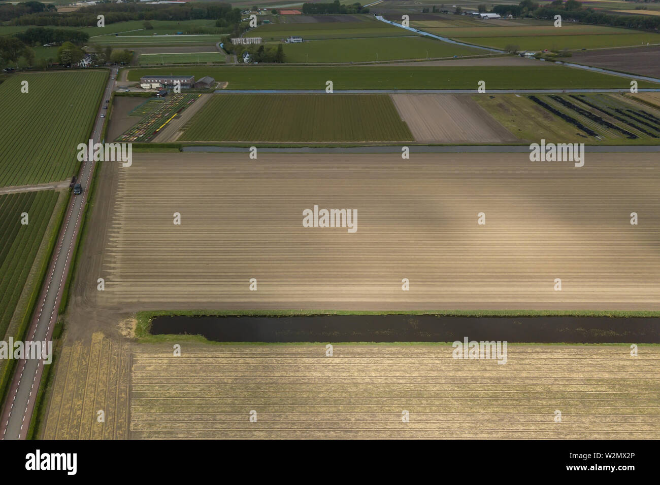 Agricultural fields with natural organic food crops growing in ...