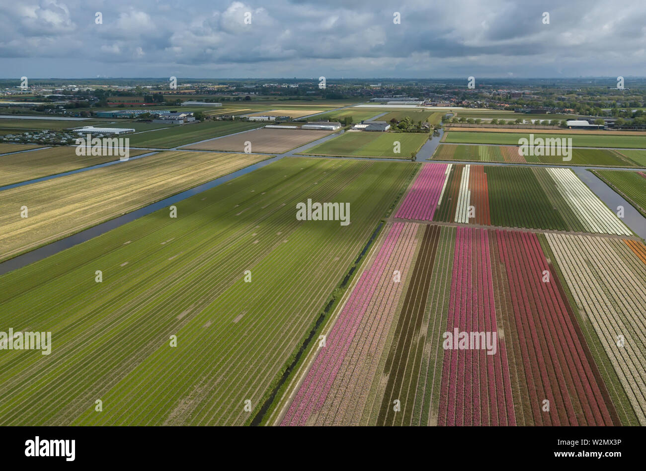 Keukenhof aerial hi-res stock photography and images - Alamy
